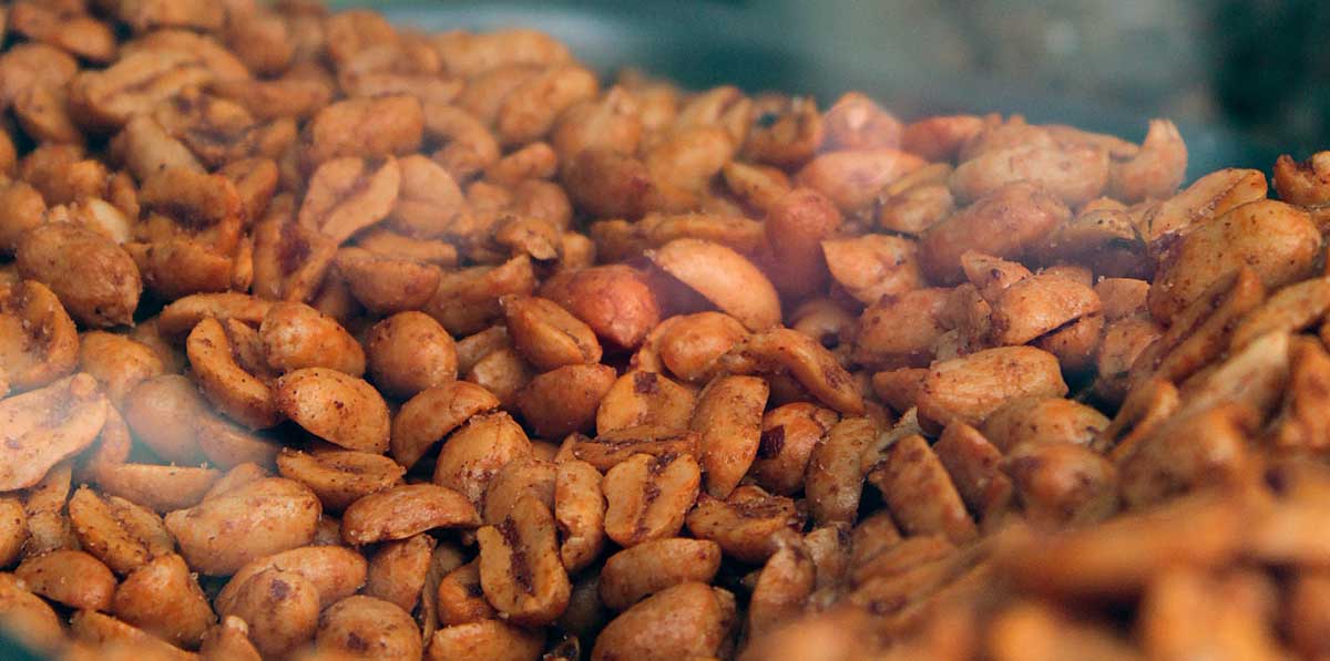 Nuts - Frying - Food Coating Expertise