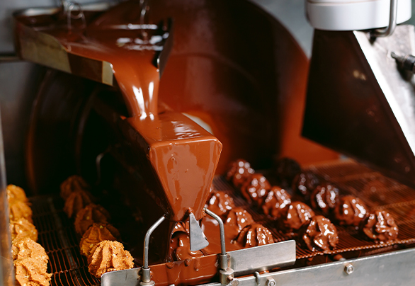 Food Coating Expertise - Expert in Food Coating